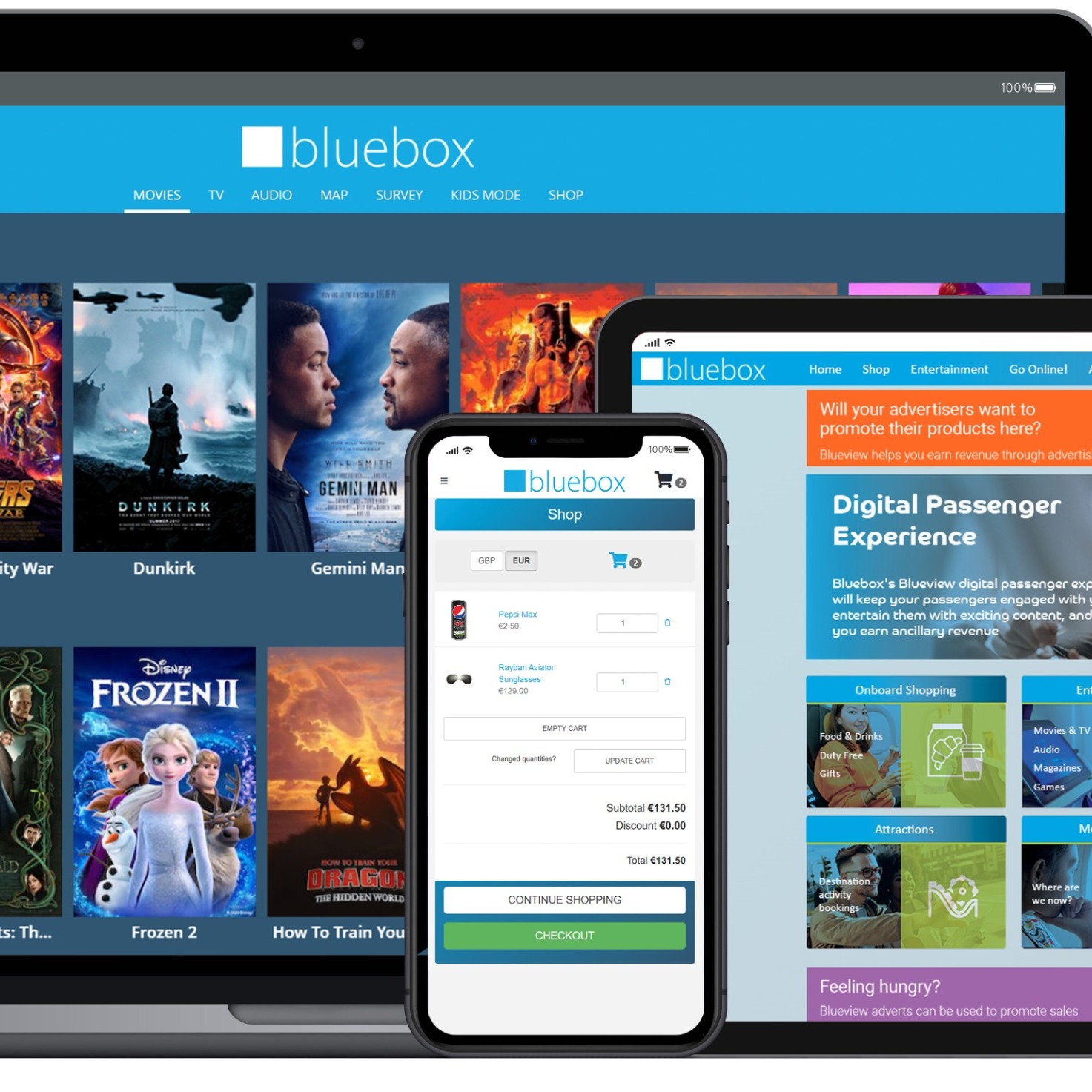 Blueview - Digital Passenger Experiences