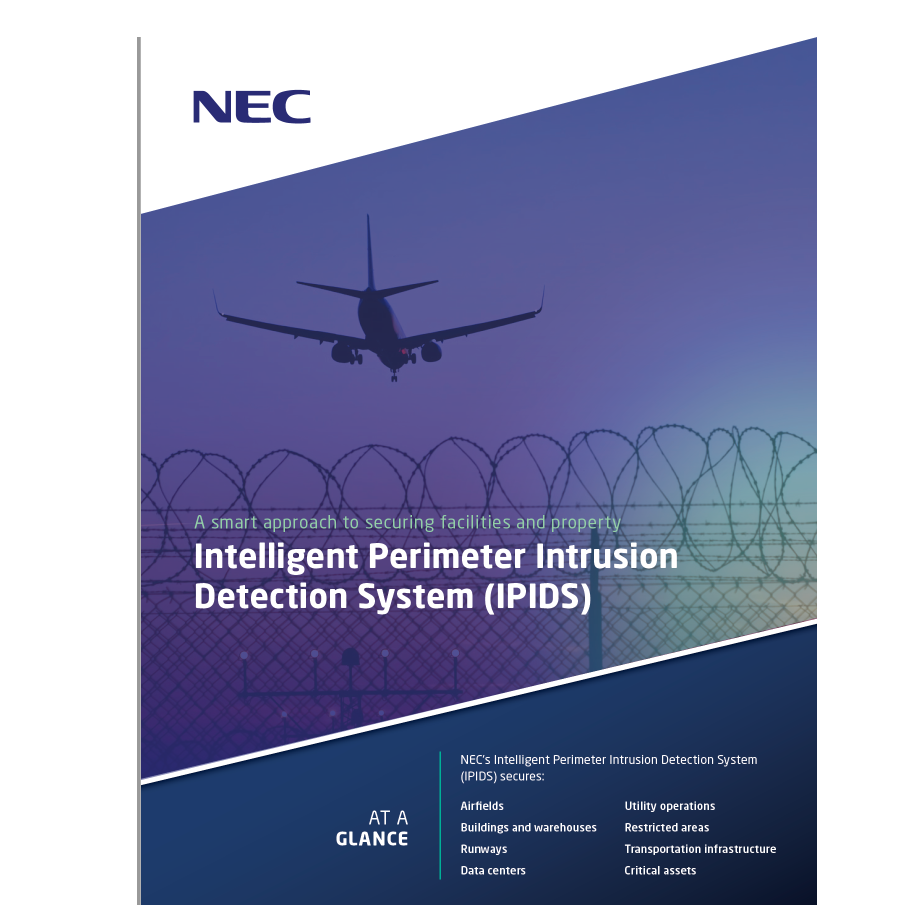 Intelligent Perimeter Intrusion Detection System