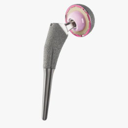 Hip System: Taperloc® Complete