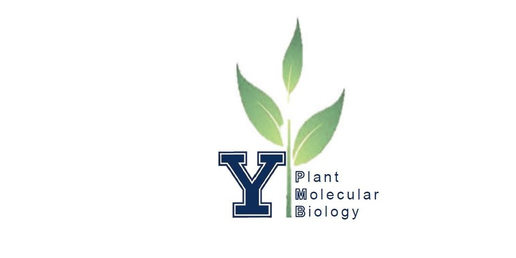 Yale University Plant Molecular Biology