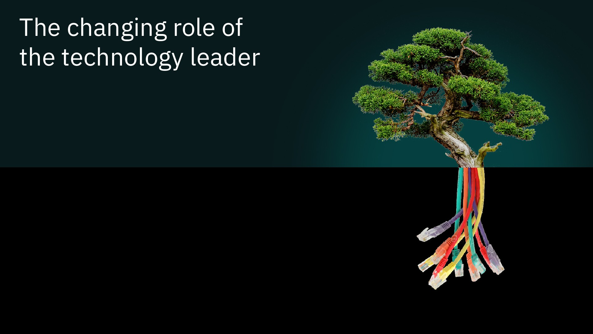 The changing role of the technology leader