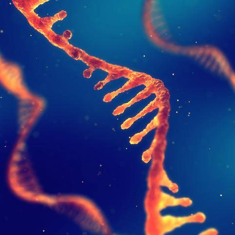 SureSelect XT HS2 mRNA Library Preparation Kit