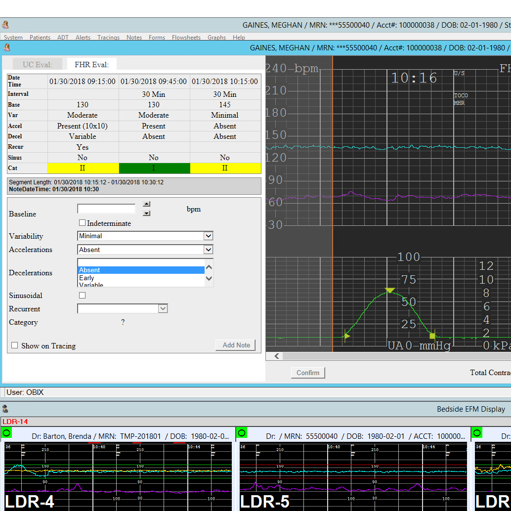 OBIX Perinatal Data System