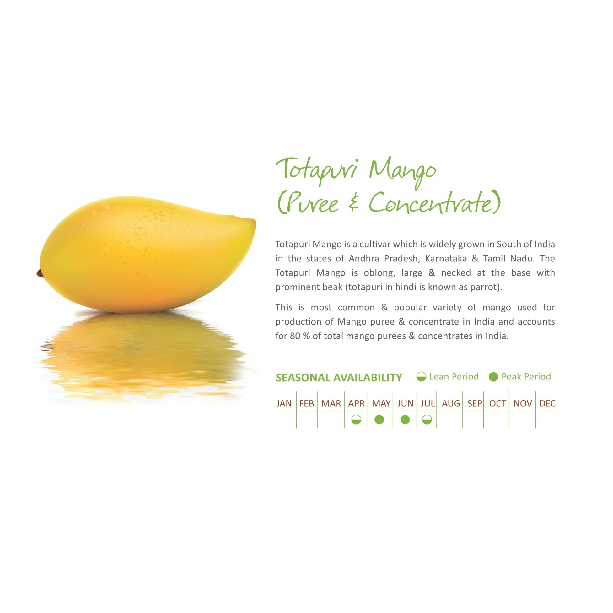 TOTAPURI MANGO CONCENTRATE - 28 BRIX