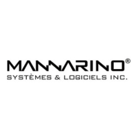 Mannarino Systems and Software Inc.