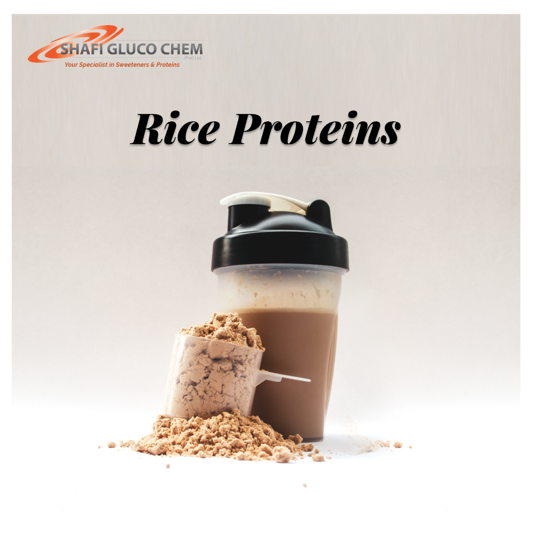 Rice Proteins