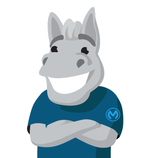 Mulesoft - UI/UX Team