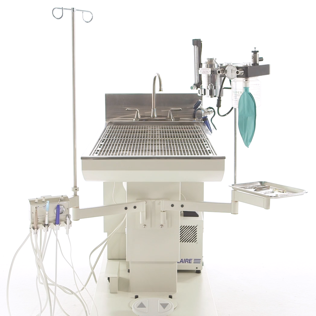 Olympic Hi-Lo Wet Dental Table