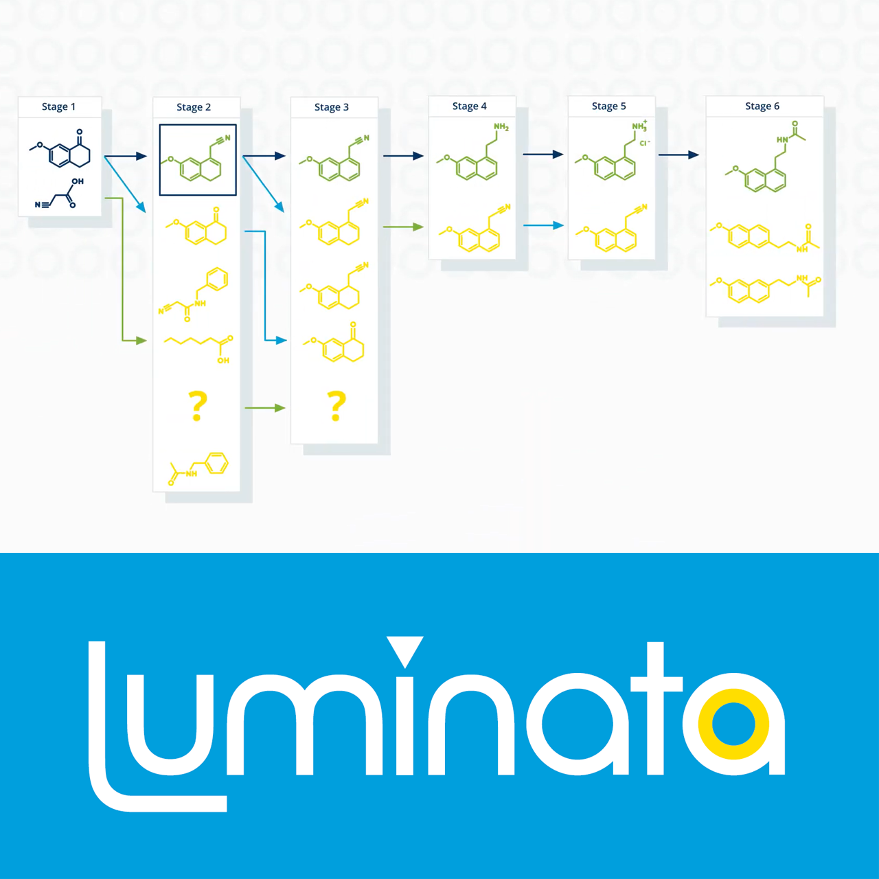 Cut Your Time Spent on Impurity Data from Months to Minutes - Luminata