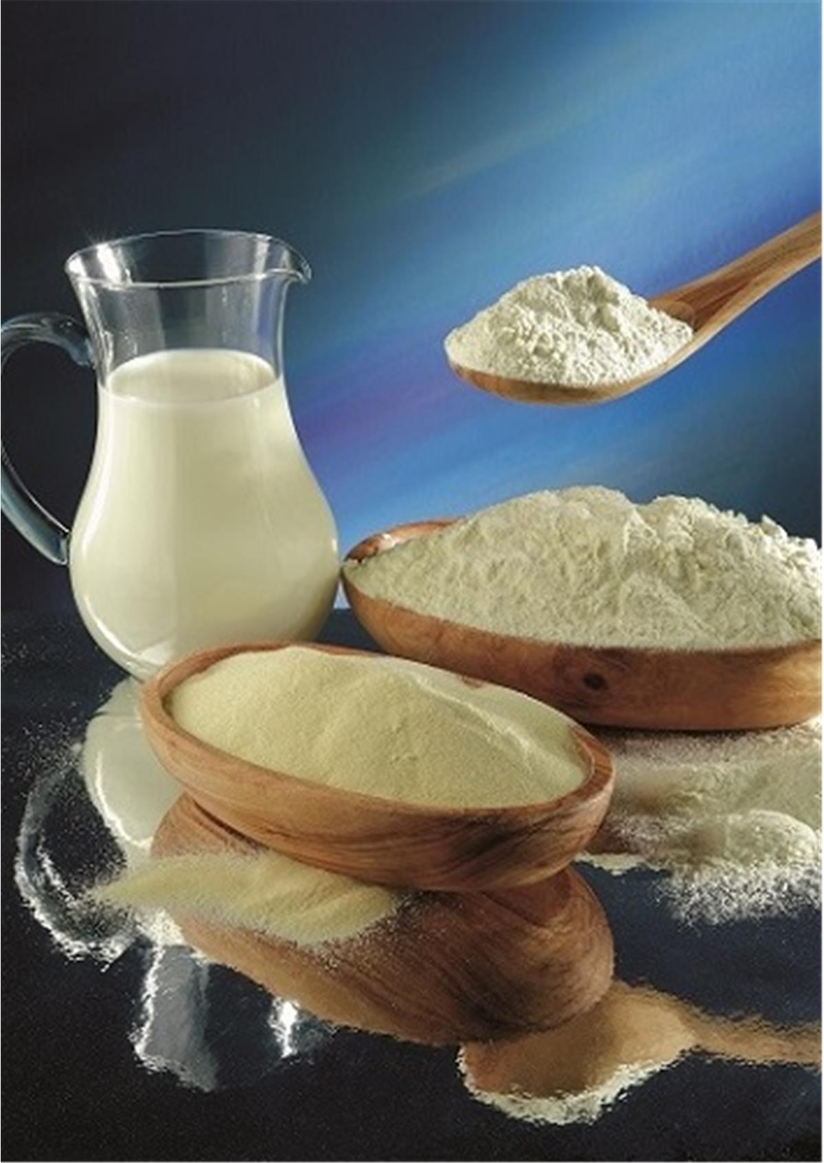 Dried Milk Products