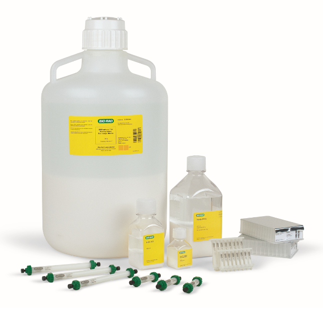 Process Chromatography Mixed-Mode Resins