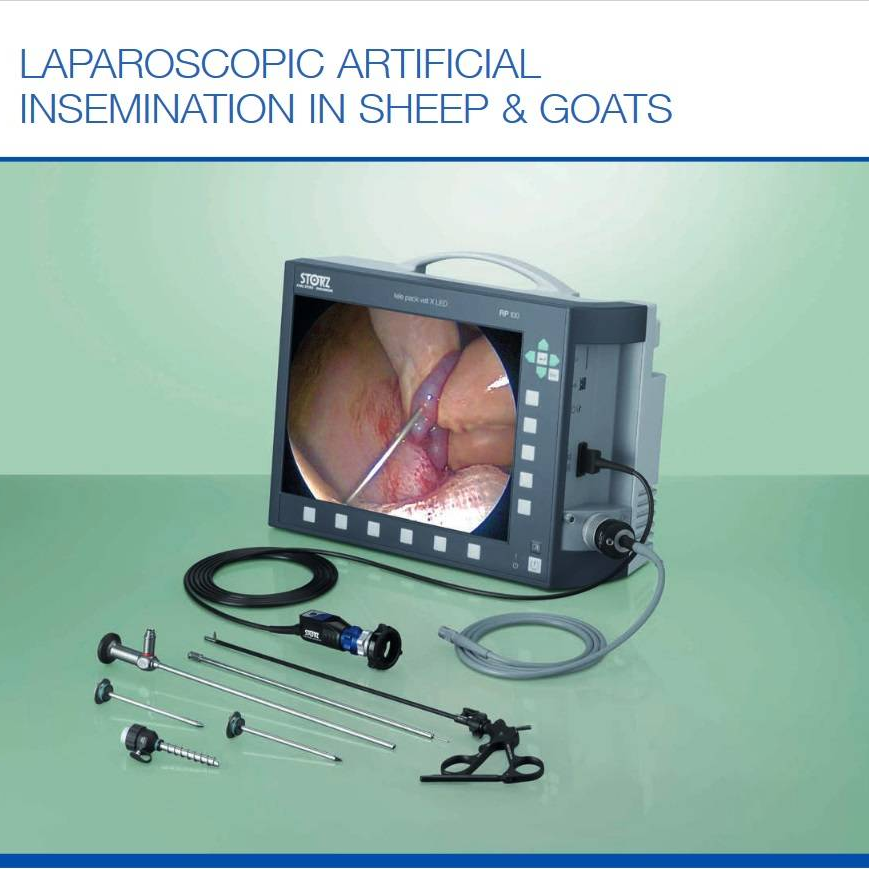 Laparoscopic Artificial Insemination in Sheep & Goats