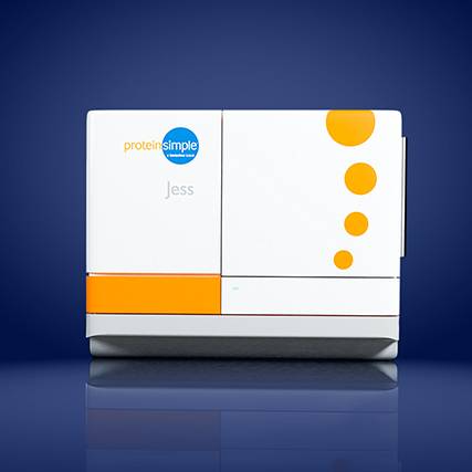 Jess - Your Complete Protein Analysis Solution