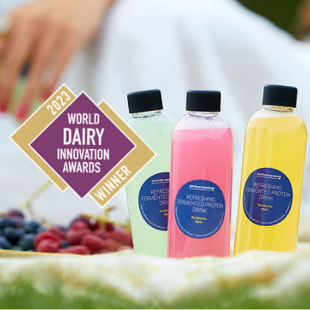 Refreshing fermented protein drink