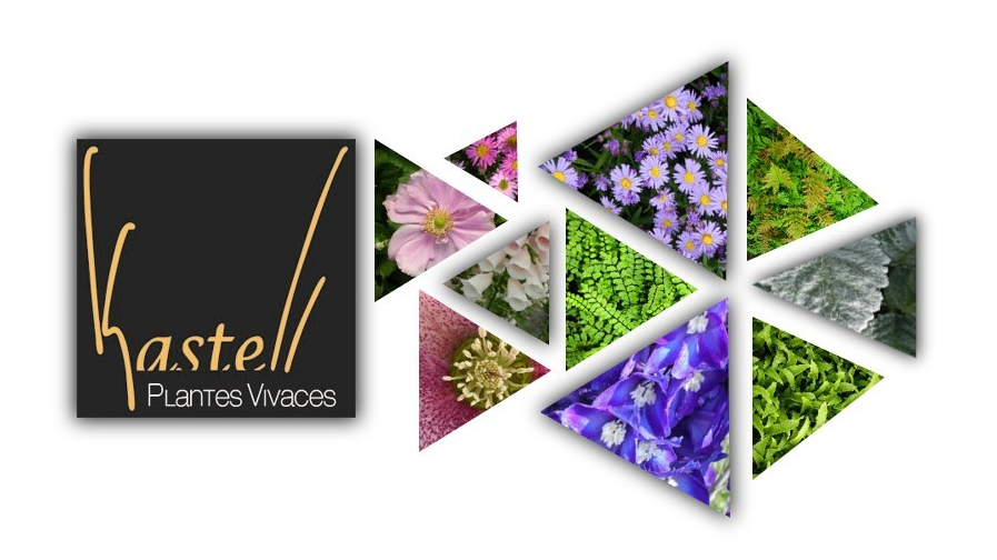 KASTELL