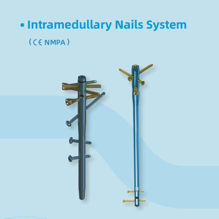 Intramedullary Nails System | Lepu Medical Orthopedics