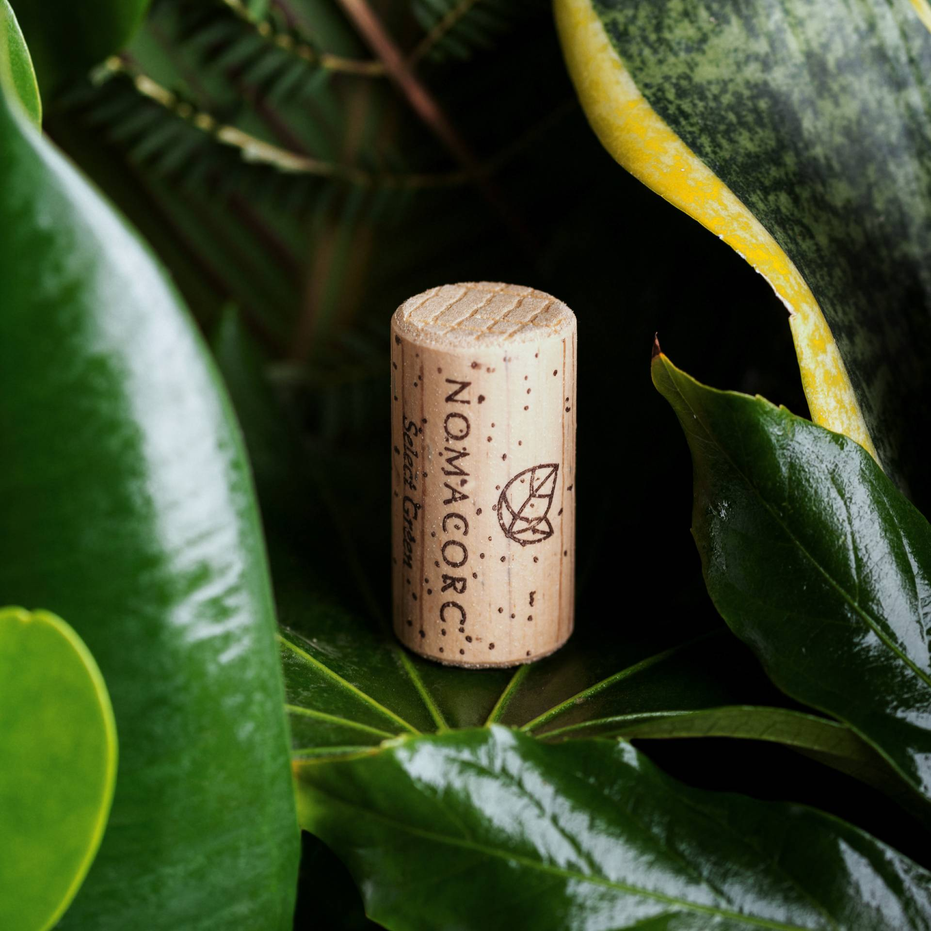 Nomacorc Green Line : plant-based closures for age-worthy wines.
