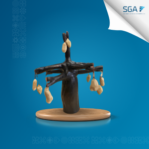 Imbondeiro | Baobab Tree