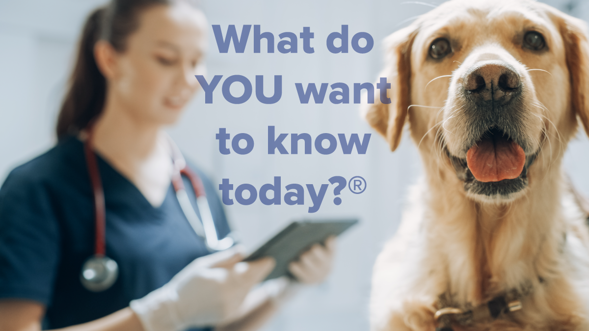 Veterinary Information Network (VIN)
