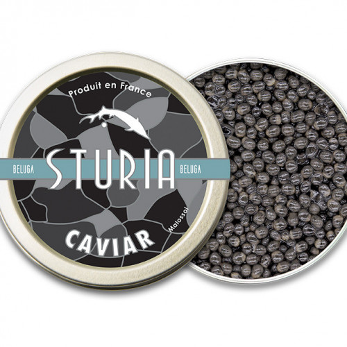 Caviar Sturia Beluga (français)
