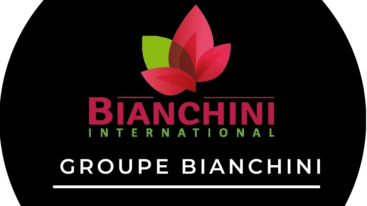 BIANCHINI INTERNATIONAL