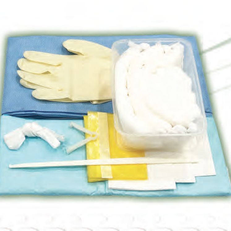 Disposable Delivery Set