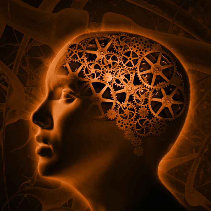 Memory Machine™ Advanced Edition