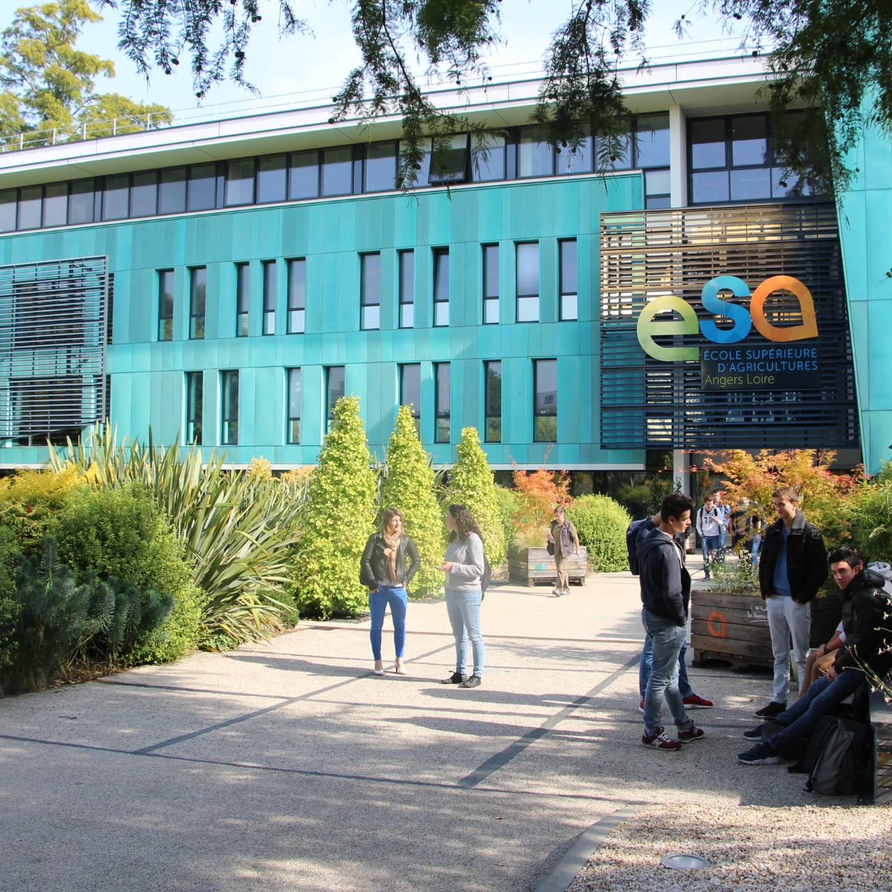 Campus d'Angers