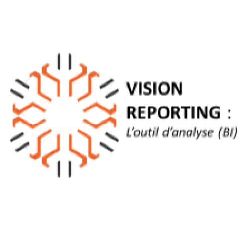 VISION REPORTING : l'outil BI