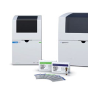 Cell-free DNA ScreenTape Analysis