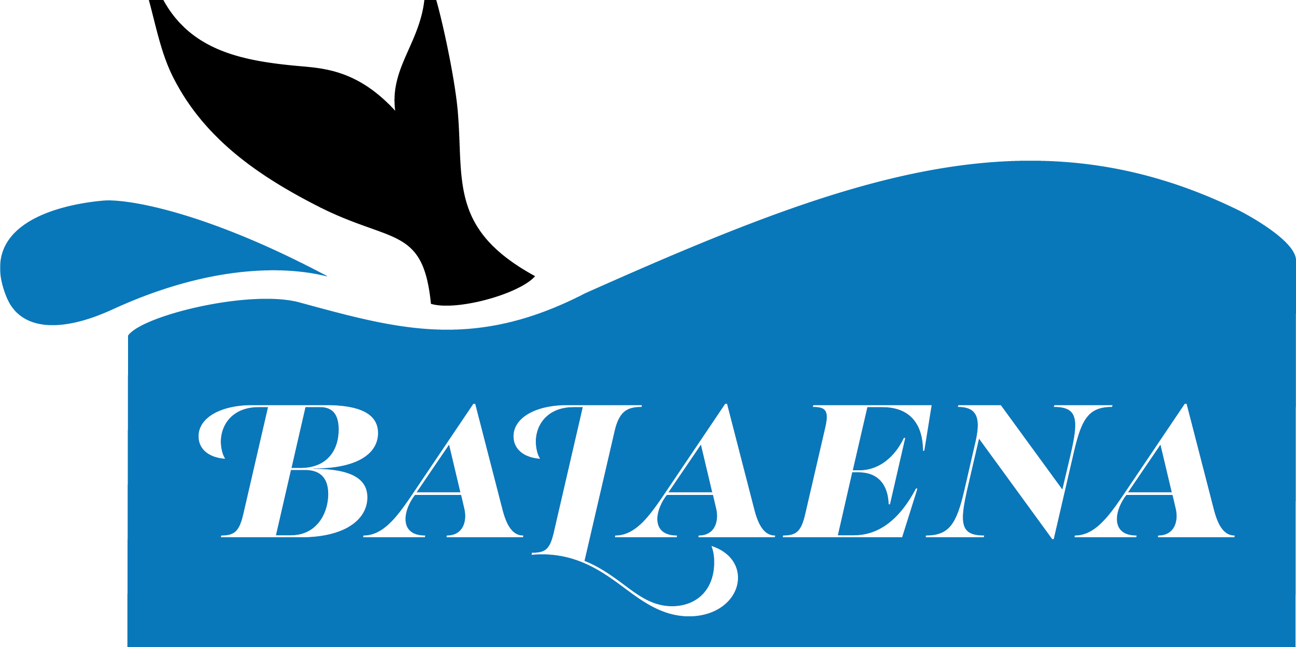 Balaena H20, LLC