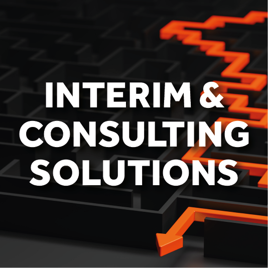 Interim & Consulting Solutions