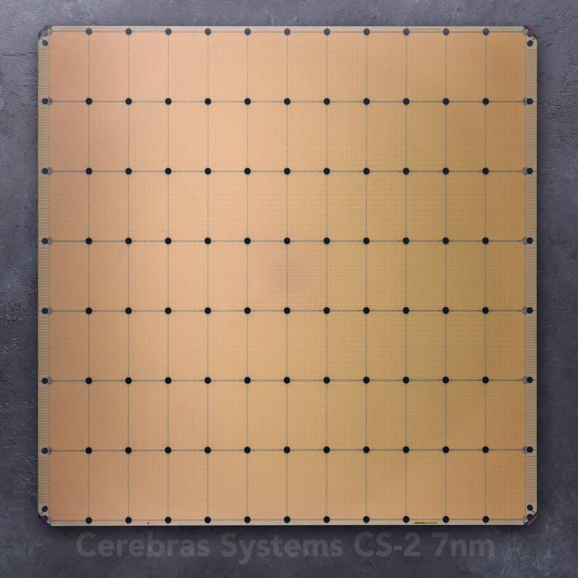 Wafer-Scale Engine 2 (WSE-2)