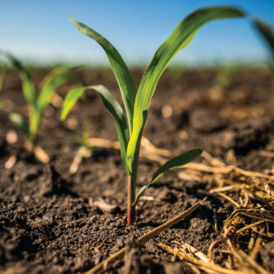 Crop Input Financing - options to purchase inputs when you need them ...