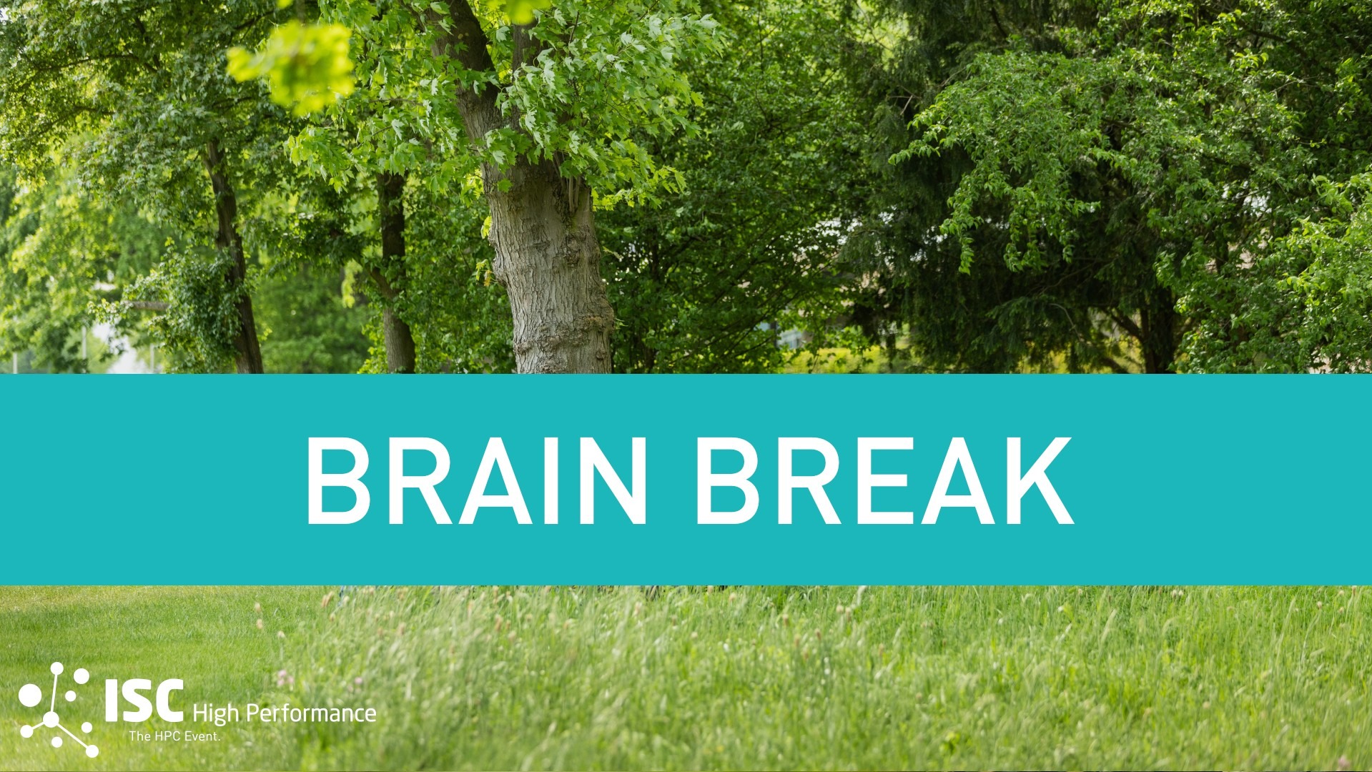Brain Break - Breathe and Stretch
