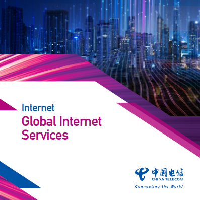 China Telecom Global Internet Services