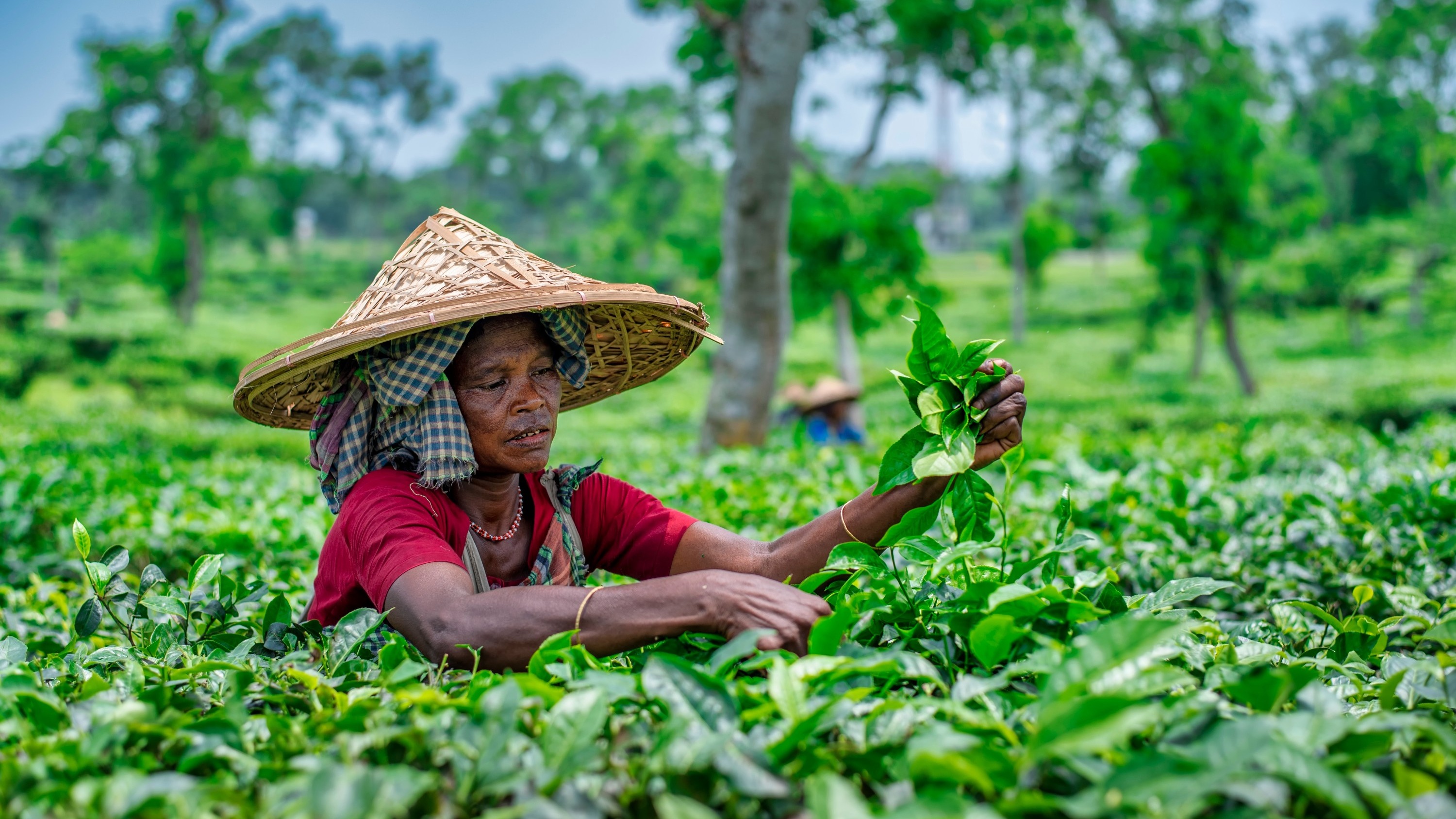 Demystifying Innovative Finance - Unlocking Blended and Outcome Based ...