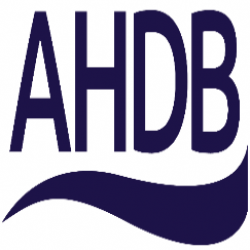AHDB