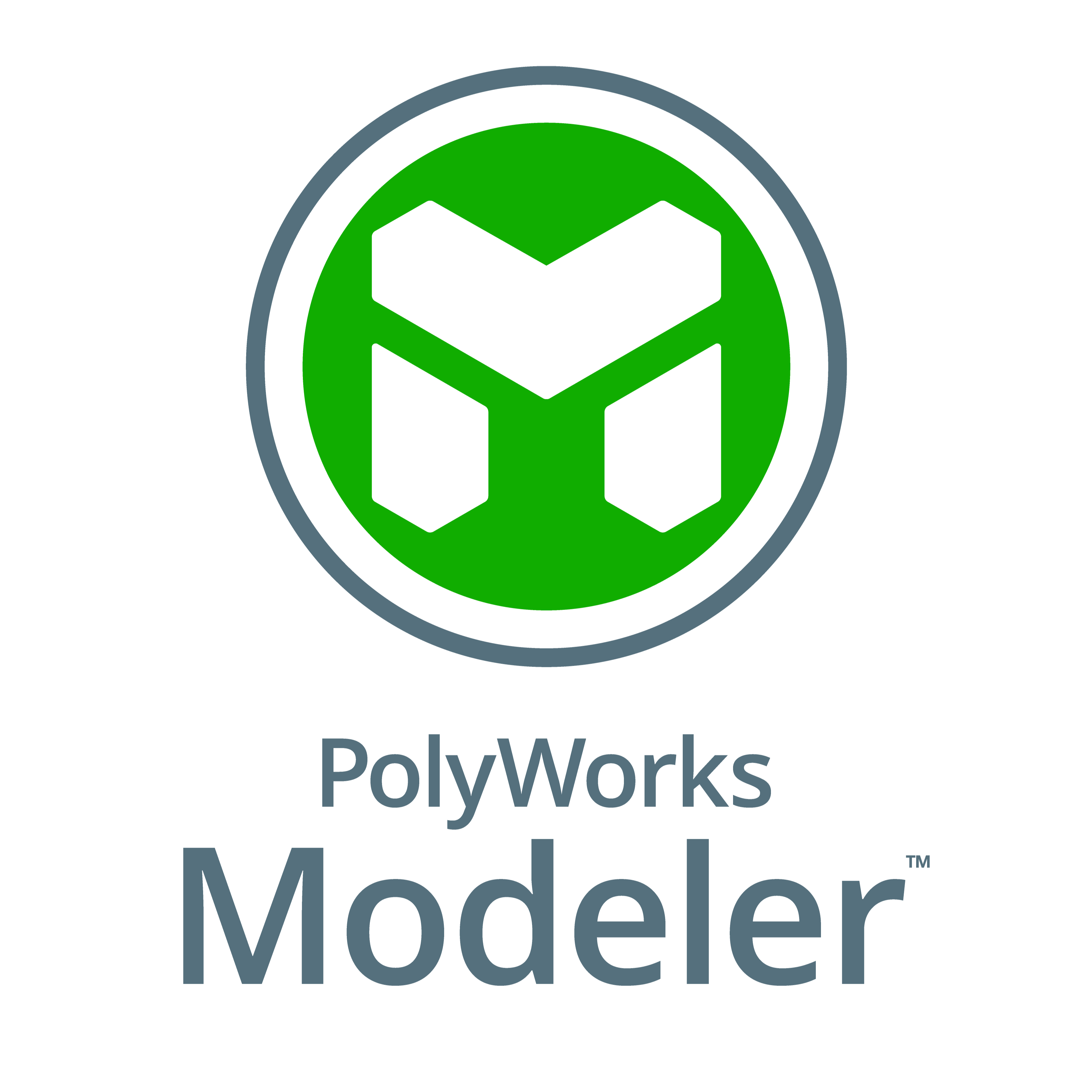 PolyWorks|Modeler