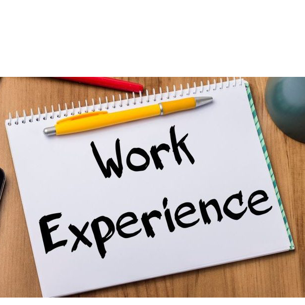 Work Experience