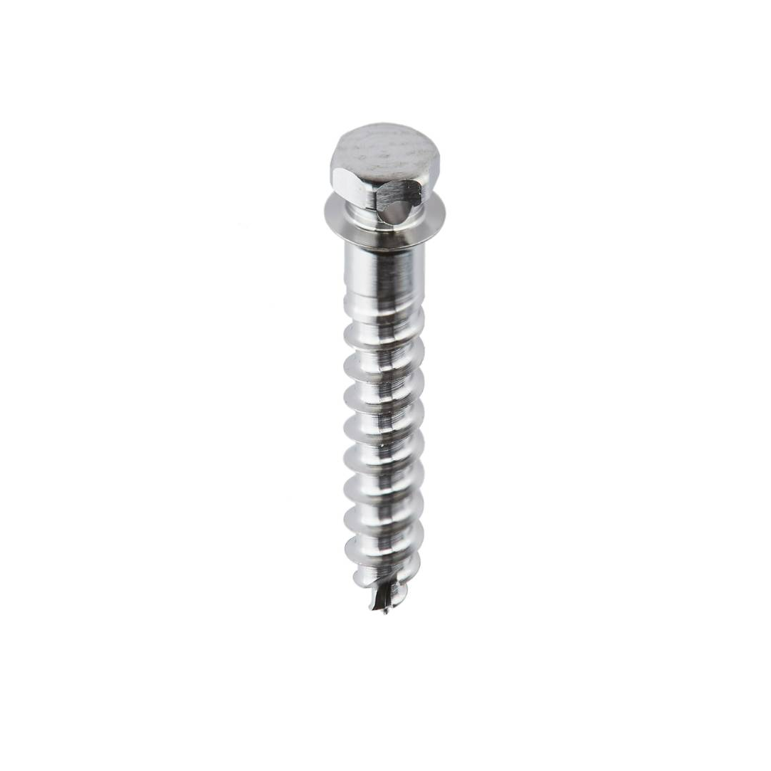 Mini Screw