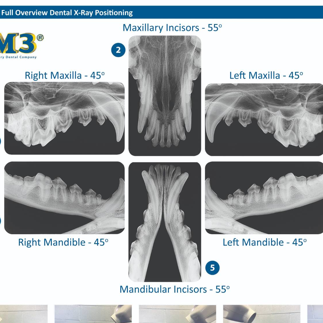 iM3 X-Ray Positioning Kit (How to use)