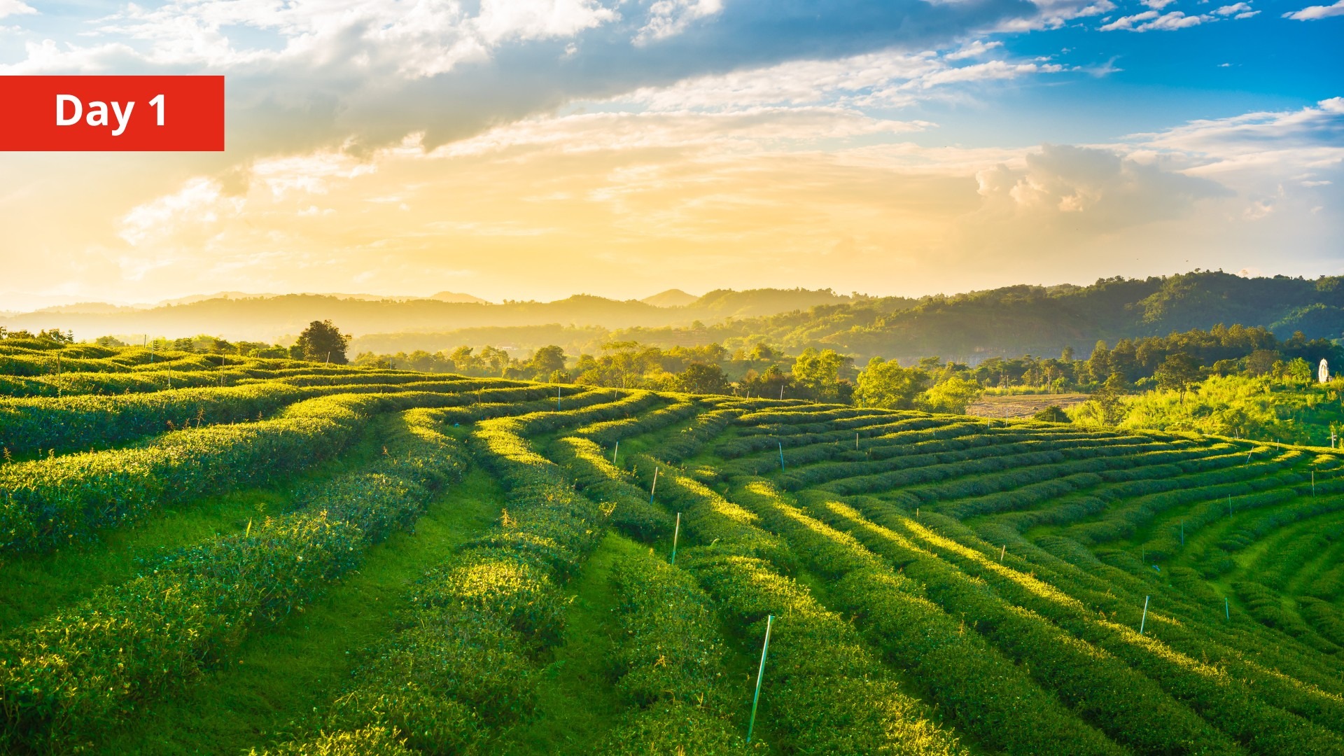 Leveraging Intersectionality to Meet Global Climate Targets