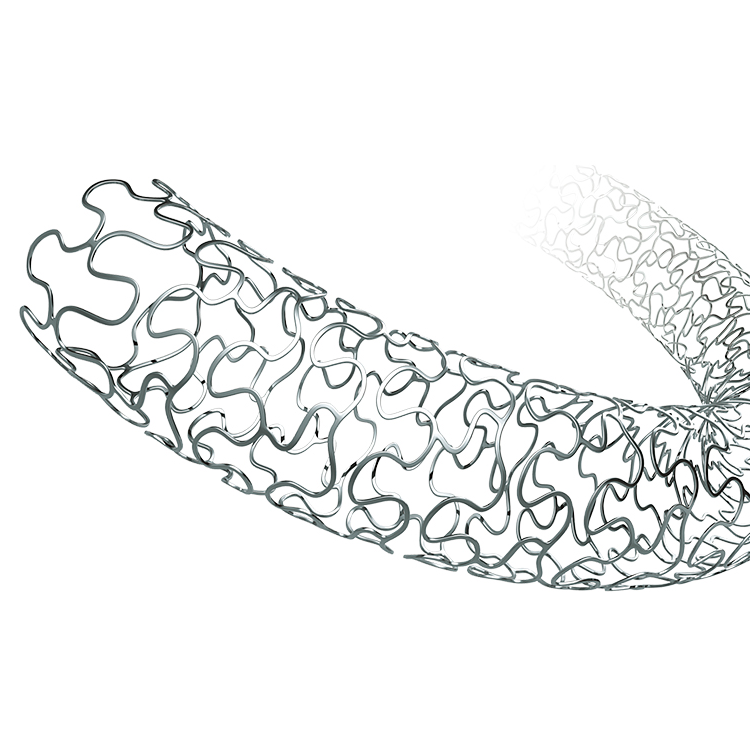 Nano+TM Polymer-free Sirolimus-eluting Coronary Stent System