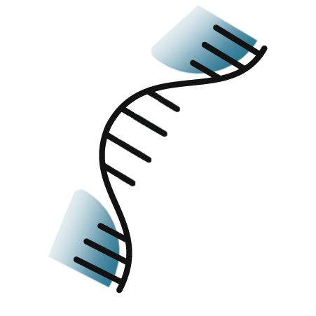 The BioXp mRNA synthesis kit